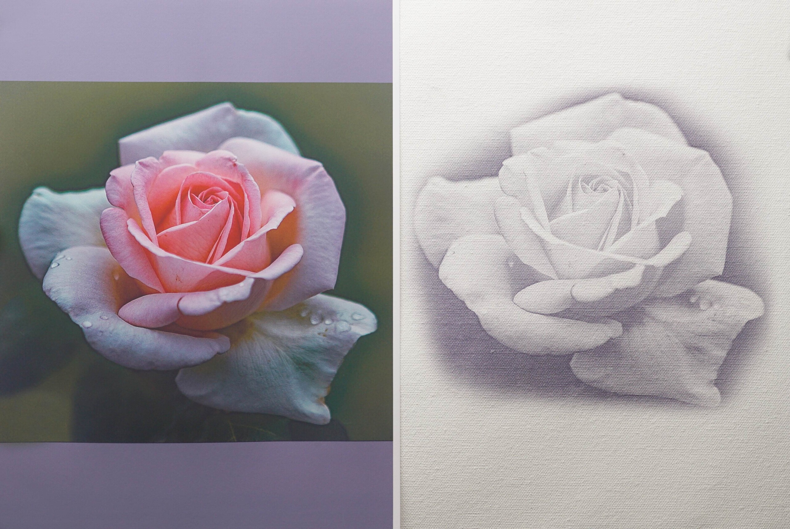 Rose Painting Workshop | Realist Academy Warrington